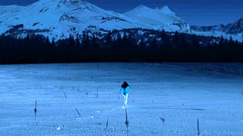 Wind River (DVD) Review – Brooding character drama masquerading as a ...