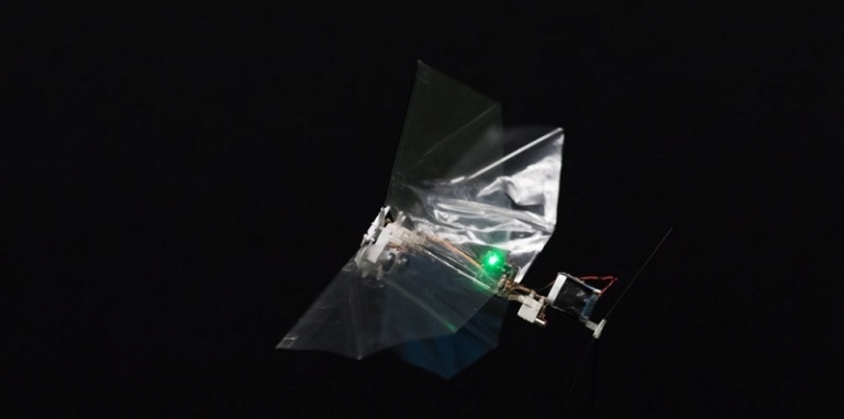 Scientists create a small robot that flies like an insect called the ...