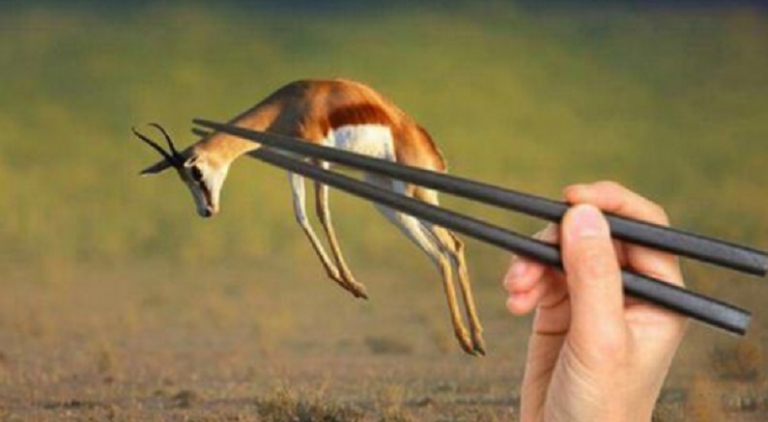 The darkest day in Springbok history is getting made into a movie