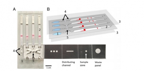 Revolutionary technology allows origami to test for malaria