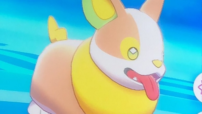Pokémon Sword and Shield has a magnificent Corgi Pokémon