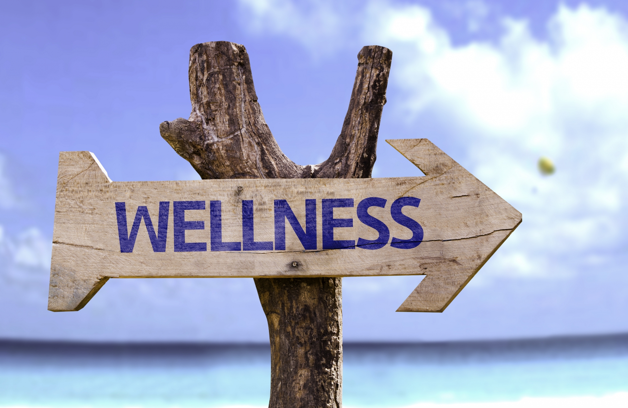 Decoding Wellness Trends: How to Spot Fads vs. Facts in the Health Industry